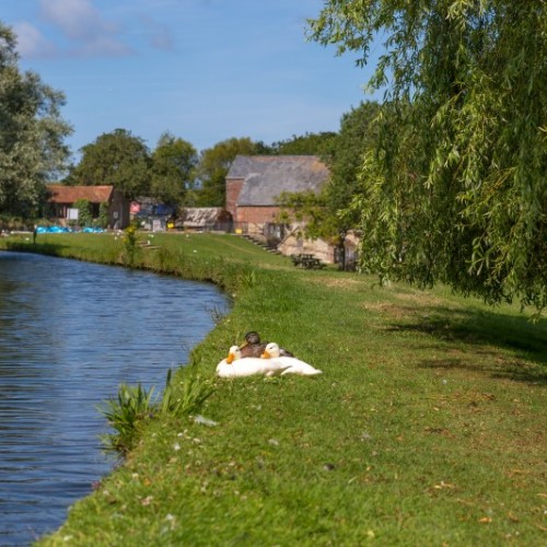 Gallery - The Water Mill Isle of Wight