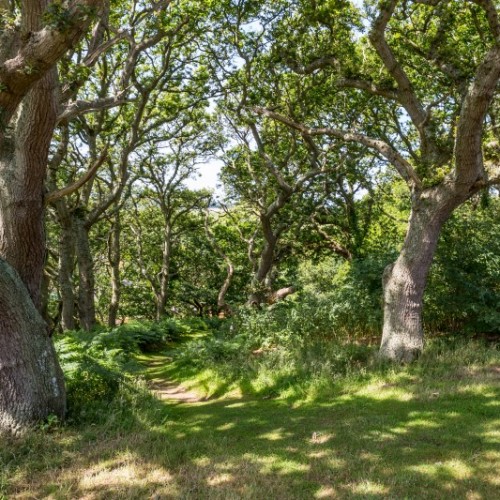Gallery - Calbourne Water Mill Isle of Wight